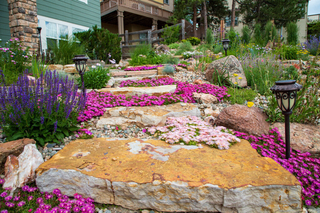 The Xeric Garden - Garden Design Services - Xeric Garden
